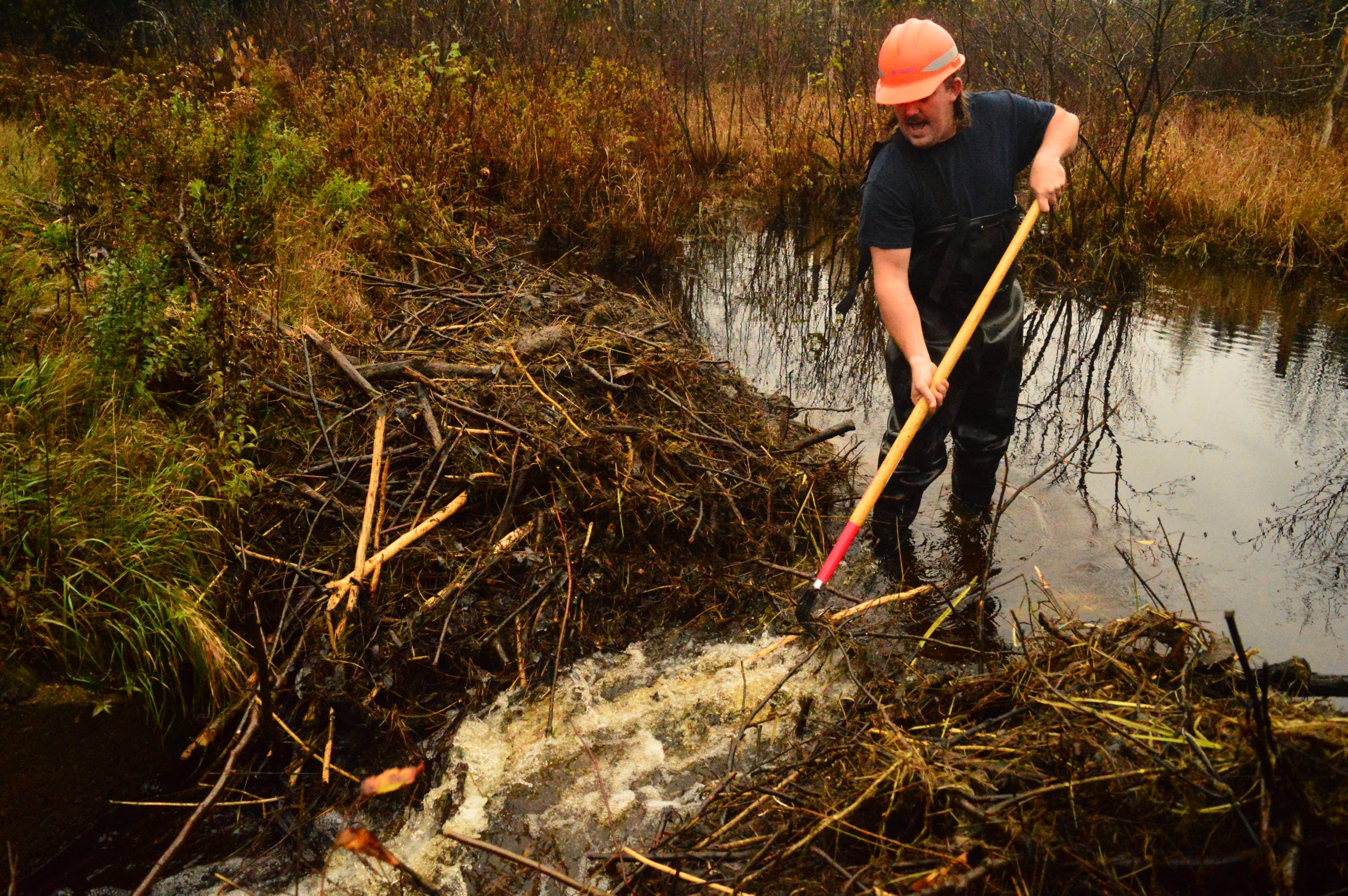 Water work | News, Sports, Jobs - Adirondack Daily Enterprise